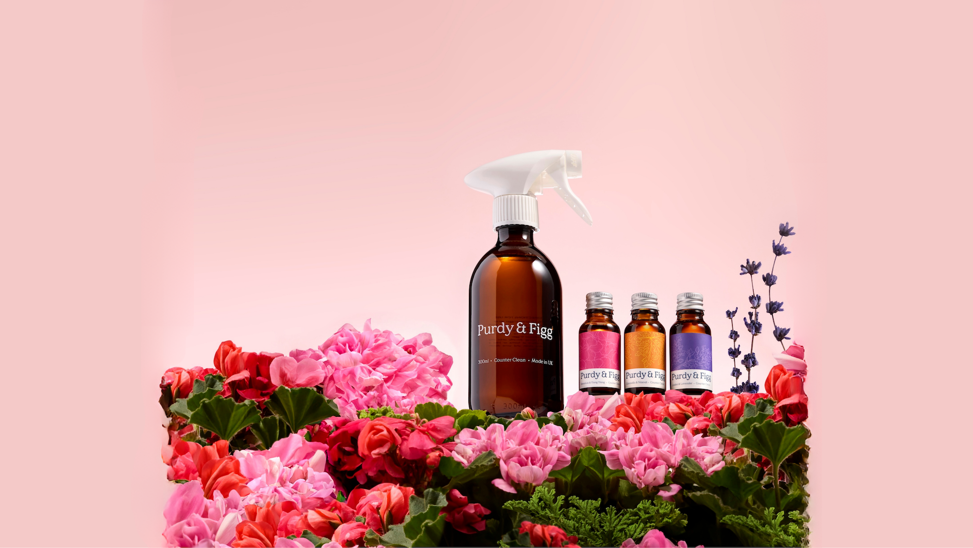 A Purdy & Figg Guide to Summer Blooms